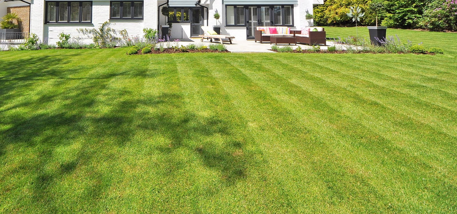 Home page - Clwyd Lawn Care